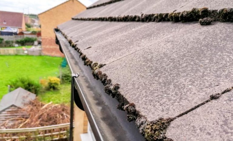 Gutter Maintenance in Summer: The Complete Guide | Wakefield Roofs
